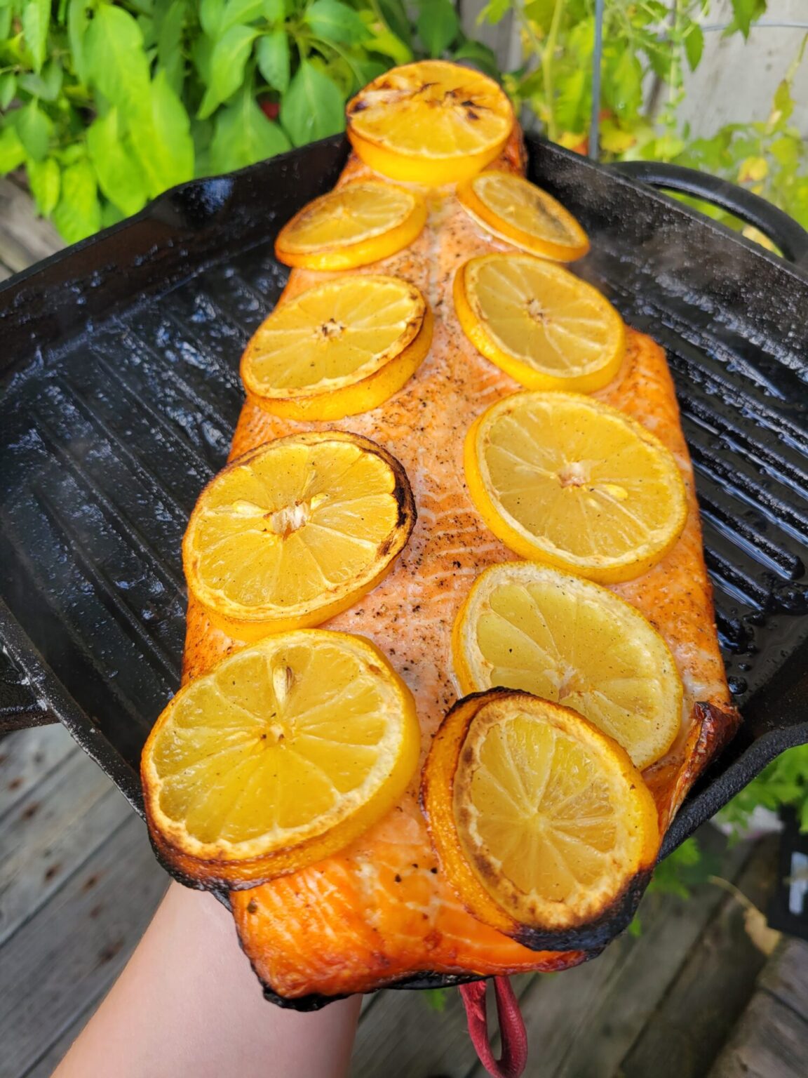 The Fundamentals of Barbecue Salmon - Catfish Out of Water