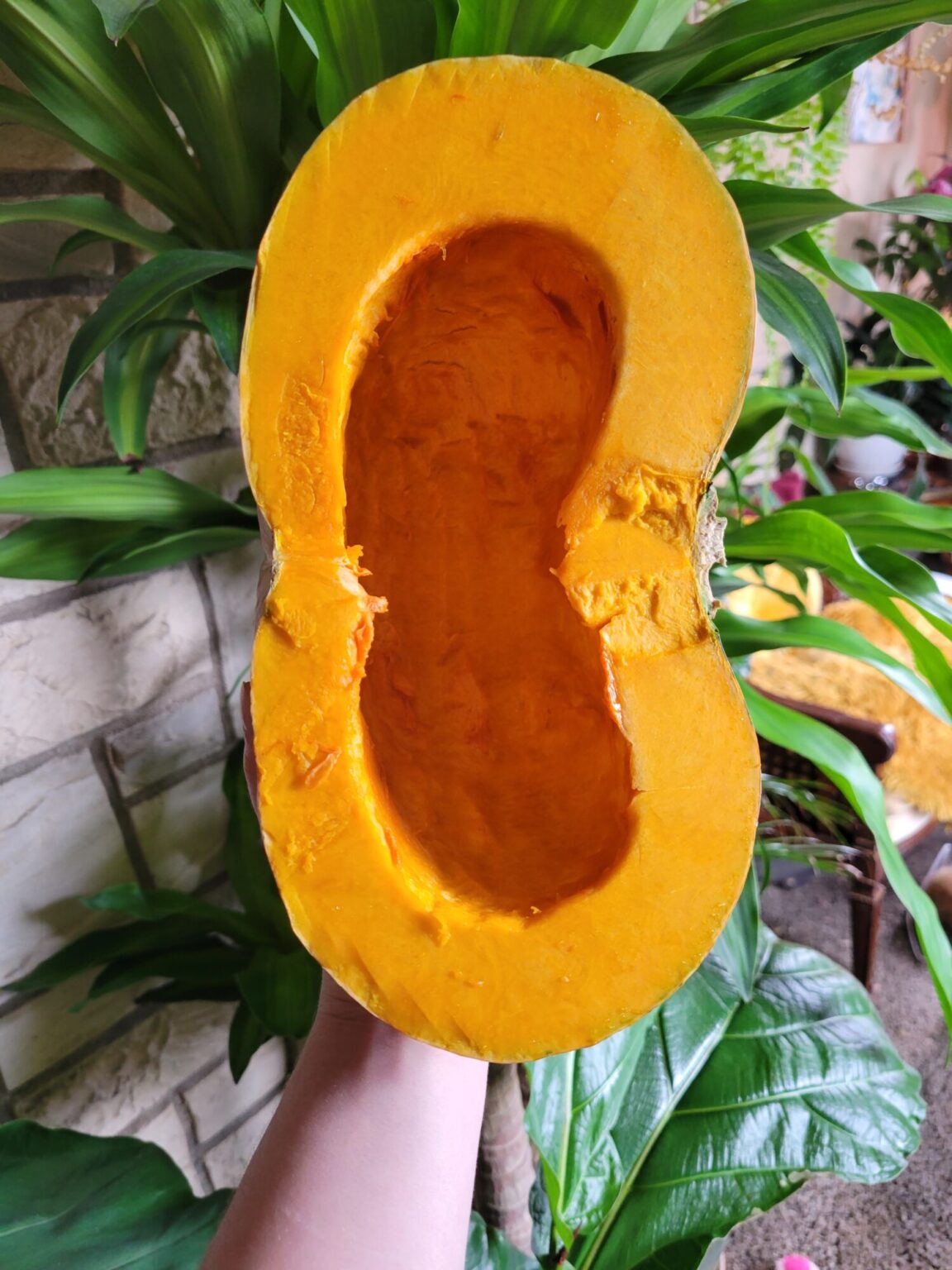 The Fundamentals of Roasted Calabaza Squash - Catfish Out of Water