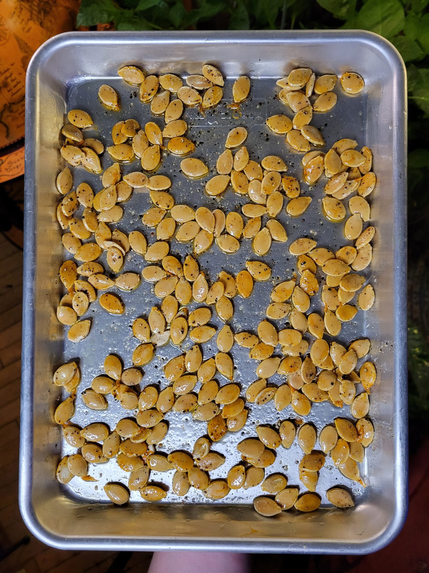 Roasted Kabocha Squash Seeds - Catfish Out of Water